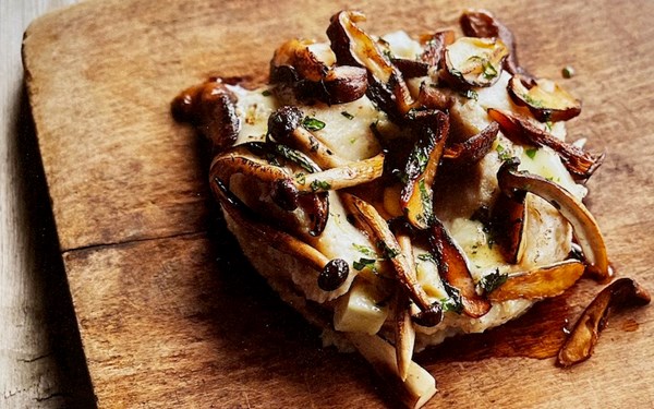 Recipes | Eat Your Books