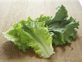 Feast: Food That Celebrates Life (UK) | Eat Your Books