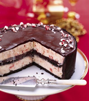 Chocolate-peppermint ice cream cake recipe | Eat Your Books