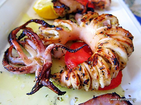 Grilled calamari and cumin recipe | Eat Your Books