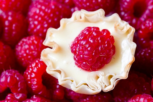 Lemonade tarts recipe | Eat Your Books