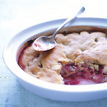 Rhubarb sponge pudding recipe | Eat Your Books